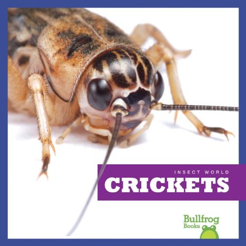 Amazon.com: Crickets (Bullfrog Books: Insect World): 9781620310540 ...