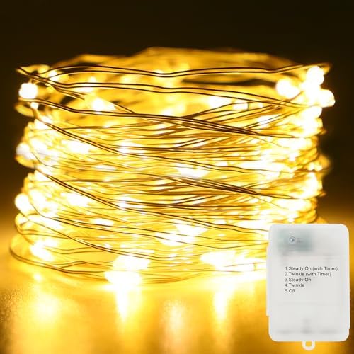 Amazon.com: Fairy Lights Battery Operated 16.4Ft 50 LED Silver Copper ...