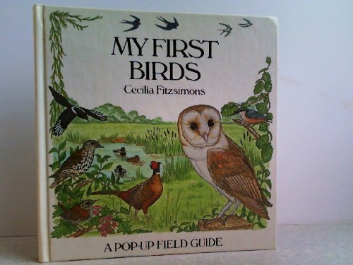 My First Birds: A Pop-Up Field Guide : Fitzsimons, Cecilia: Amazon.in ...