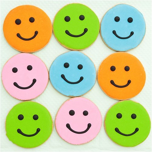 Amazon.com : Colorful Smiley Gourmet Decorated Cookie Gift (12 LARGE ...