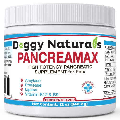10 Best Pancreatic Enzymes For Dogs