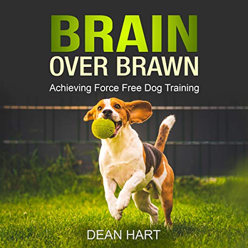 What Is Force Free Dog Training