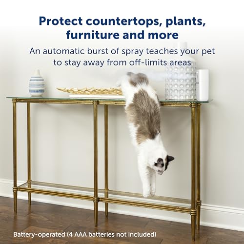 Snapklik.com : PetSafe SSSCAT Automatic Spray Pet Deterrent - Worlds ...