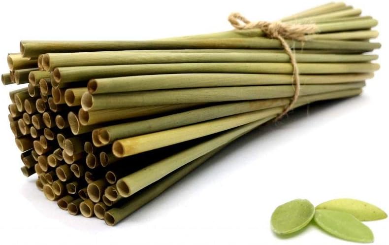 Amazon.com: 100% Natural Grass Drinking Straws - Pack of 100 Eco ...
