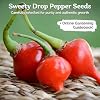 Amazon.com : KVITER 25 Sweety Drop Peppers Seeds (Capsicum Chinense ...