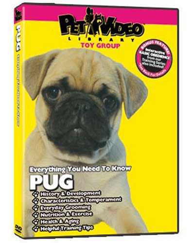 Amazon.com: PUG DVD! Everything You Should Know + Dog & Puppy Training ...