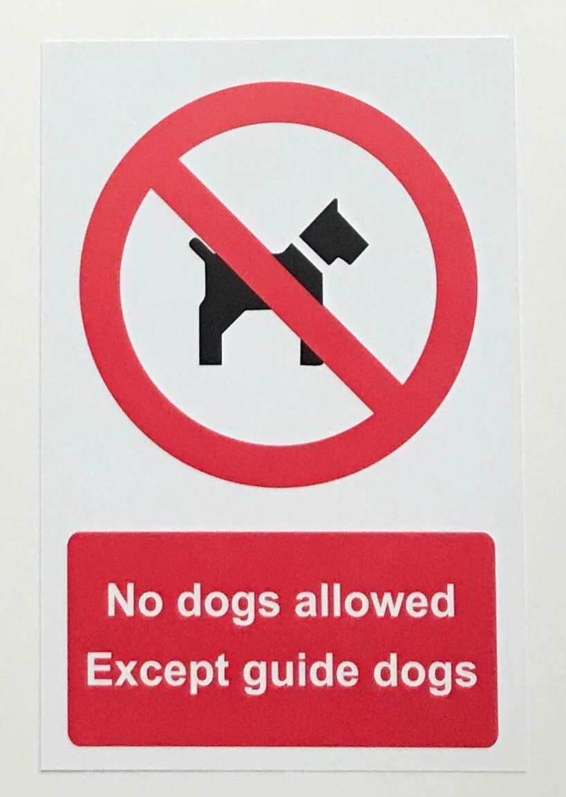 No Dogs Allowed Sign Printable
