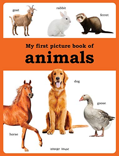 My first picture book of Animals (English Edition) eBook: Wonder House ...
