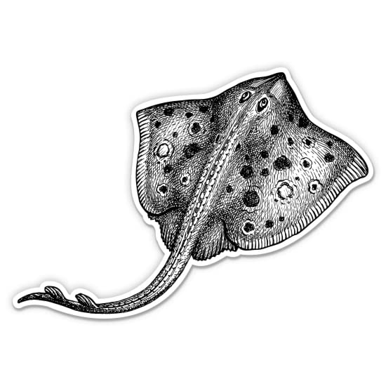 Amazon.com - Stingray Vintage Style - 3" Vinyl Sticker - for Car Laptop ...