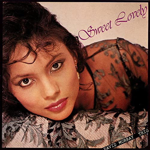 Amazon MusicでDavid Murray Trio feat. DAVID MURRAY, Fred Hopkins & Steve ...