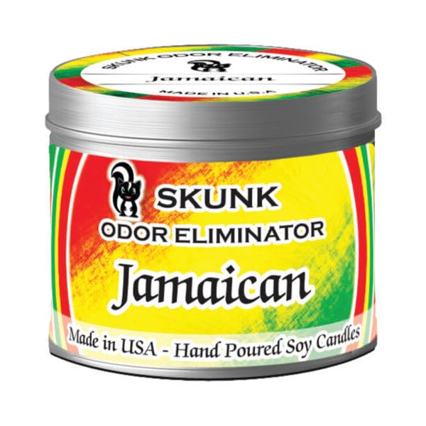 Amazon.com: Skunk Smoke Odor Eliminator Candles- Destroys Any Odors ...