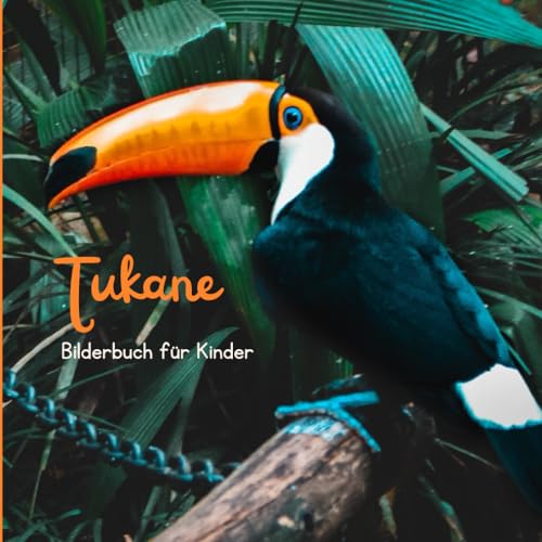 Tukane - Lexikon der Biologie