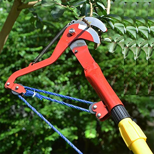 Tree pruners Long Reach Telescopic extendable loppers Telescopic Tree ...