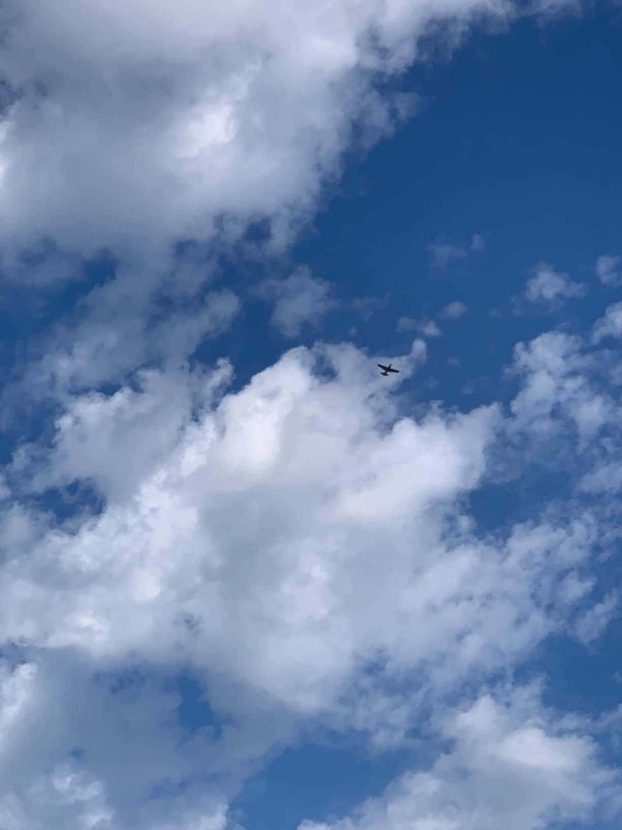 $24/mo - Finance LEAMBE RC Plane 4 Channel Remote Control Airplane - Ready to Fly P-40 Warhawk ...