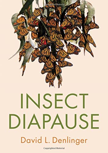 Amazon.com: Insect Diapause: 9781108497527: Denlinger, David L.: Books