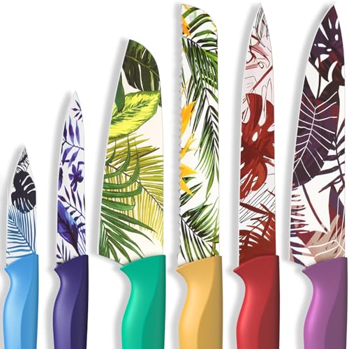Top 10 Best All Around Kitchen Knife : Reviews & Buying Guide - Katynel