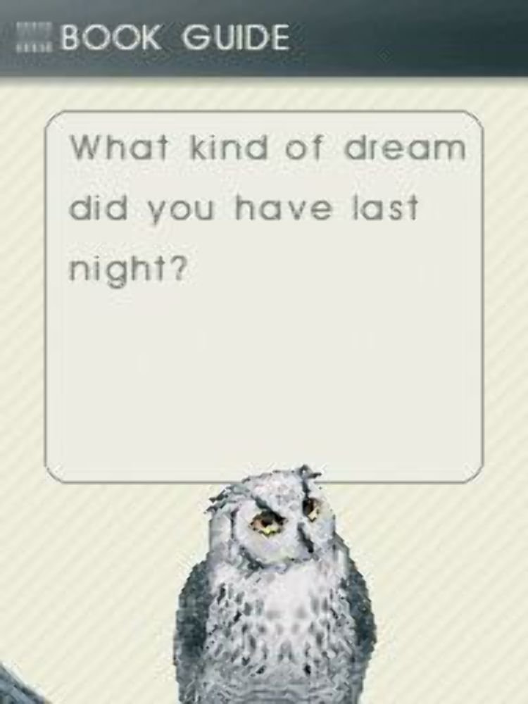 Newcomer - It's lit, fam! - Snowy Owl (100 Classic Book Collection) for ...