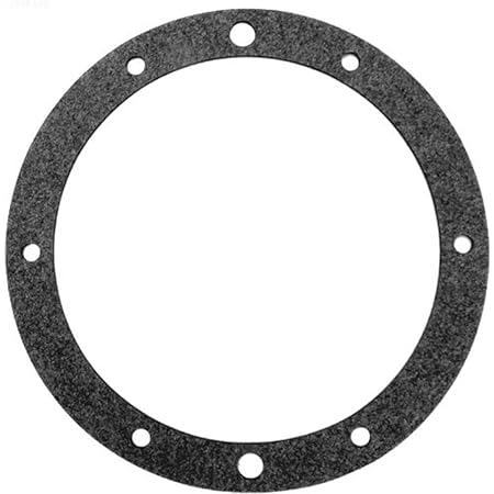 Amazon.com: Pentair 79204600 Vinyl Gasket Replacement SpaBrite ...