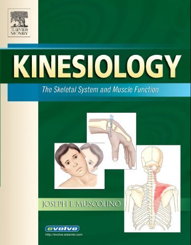 Kinesiology: The Skeletal System and Muscle Function: 9780323025249 ...