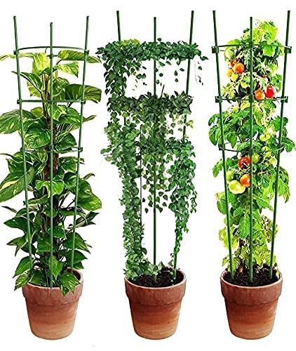 FOX & FERN Vegetable Trellis, Garden Plant Support Cages Stakes for ...