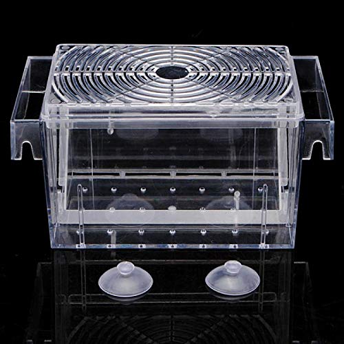 Fish Hatchery Transparent Breeding Hatching Box For Aquarium Fish Tank ...