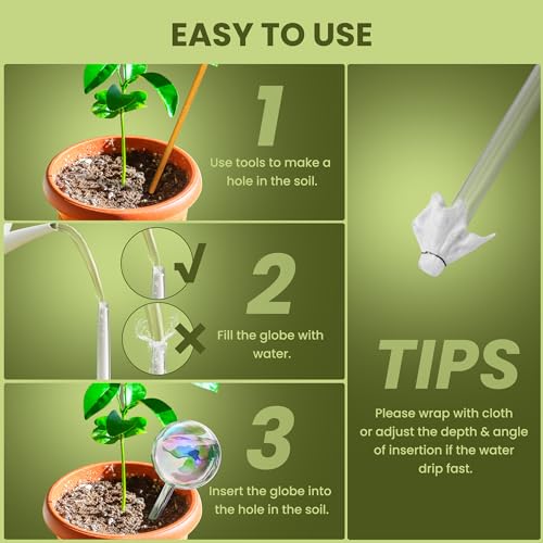 Snapklik.com : Plant Watering Globes, Clear Glass Rainbow Self Watering ...
