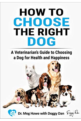 How to Choose the Right Dog: A Veterinarian's Guide to Choosing a Dog ...