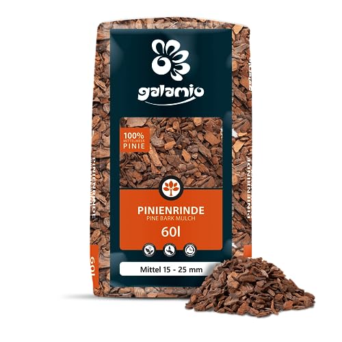 Pinienrinde – Die 15 besten Produkte im Vergleich & Angebote ...