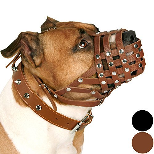 Snapklik.com : CollarDirect Pitbull Dog Muzzle Leather Amstaff Muzzles ...