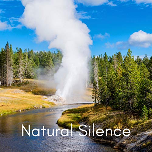 Play Natural Silence by Tranquility Spree, Space of Waves & Dreams of ...