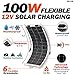 Amazon.com : RICH SOLAR 100 Watt 12 Volt Extremely EFTE Flexible ...