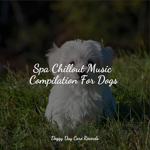 Play Spa Chillout Music Compilation For Dogs by Jazz Music for Dogs ...
