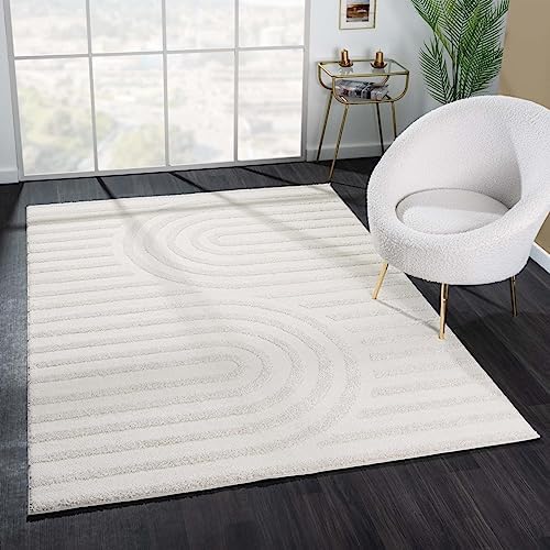 Amazon.com: nuLOOM Gloria Abstract Shag Area Rug, 8x10, Beige : Home ...