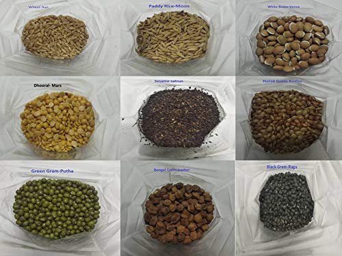 POWER Navadhanya Set (Each 100 g) : Amazon.in: Electronics