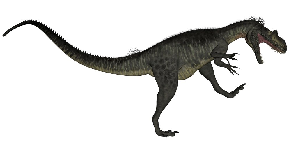 Megalosaurus Size