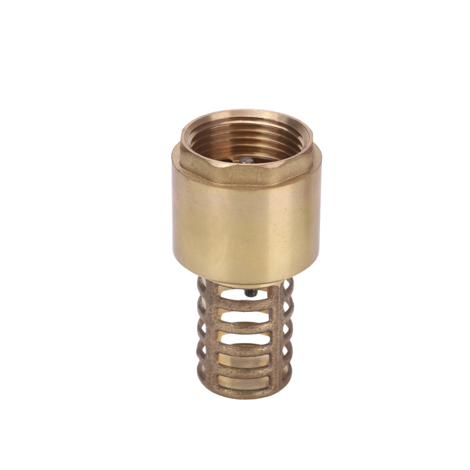 Buy Tranq1" G Foot Valve Female Connection Brass Foot Valve With ...
