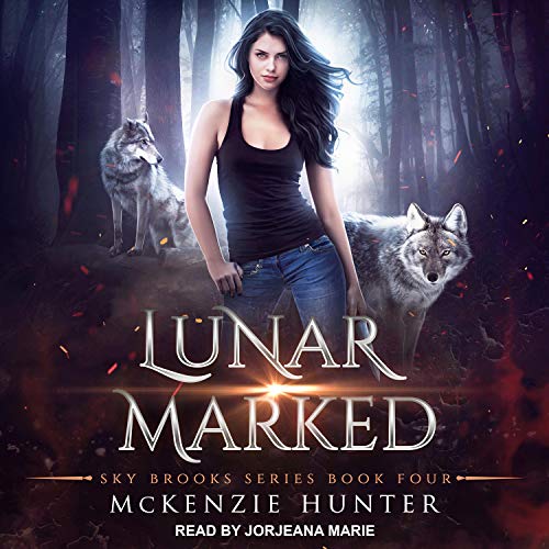 Amazon.com: Darkness Unchained: Sky Brooks Series, Book 2 (Audible Audio Edition): McKenzie ...