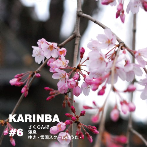 Amazon Music - karinbaの#6 さくらんぼ / 寝息 / ゆき - Amazon.co.jp