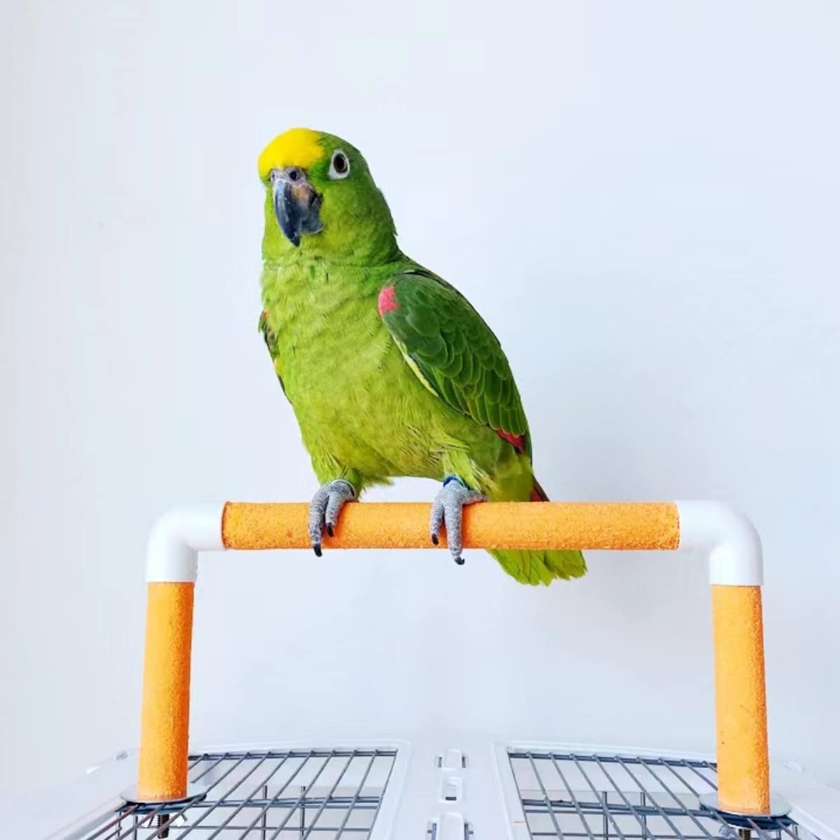 U-shape Bird Platform U-Shape Parrot Perch Stand - Natural Quartz Sand ...