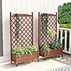 Amazon.com: Raised Garden Bed with Trellis Set of 2, Outdoor Wood ...