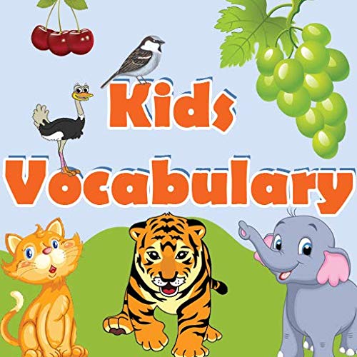 Vocabulary Pictures For Kids