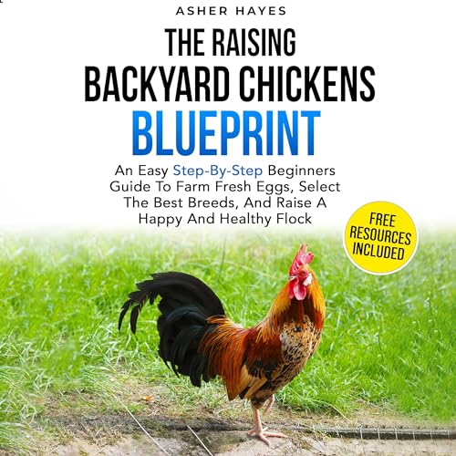 Amazon.com: The Raising Backyard Chickens Blueprint: An Easy Step-by ...
