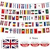 YOFANUP 100 Countries Flag, International Flag, 95 ft/ 29 meters, World ...