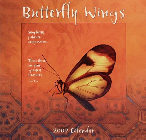 Butterfly Wings Calendar : Louden, Cynthia, Kalloch, Liz: Amazon.es: Libros