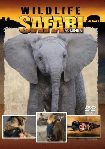 Wildlife Safari Volume 5 [DVD]: Amazon.co.uk: DVD & Blu-ray