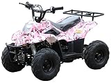 Top 10 Best Cheap 4 Wheel ATVs in 2021 Review | Guide