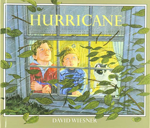 Hurricane David Wiesner