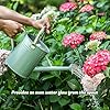 Amazon.com : 1 Gallon Watering Can for Plants, Watering Cans for Indoor ...