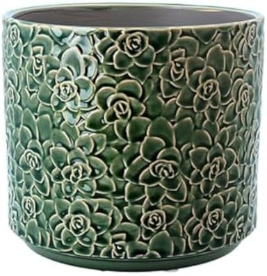 Gisela Graham Green Succulents Plant Pot - Large : Amazon.co.uk: Garden