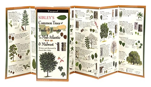 Sibley's Common Trees of Trails & Forests of the Mid-Atlantic & Midwest ...